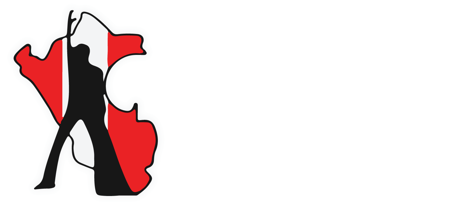 Raphael toda una vida